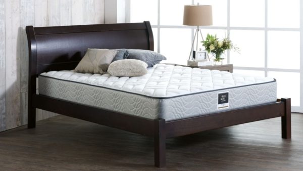 King Koil Chiro Essential Plush (Discontinued) - Bedbuyer