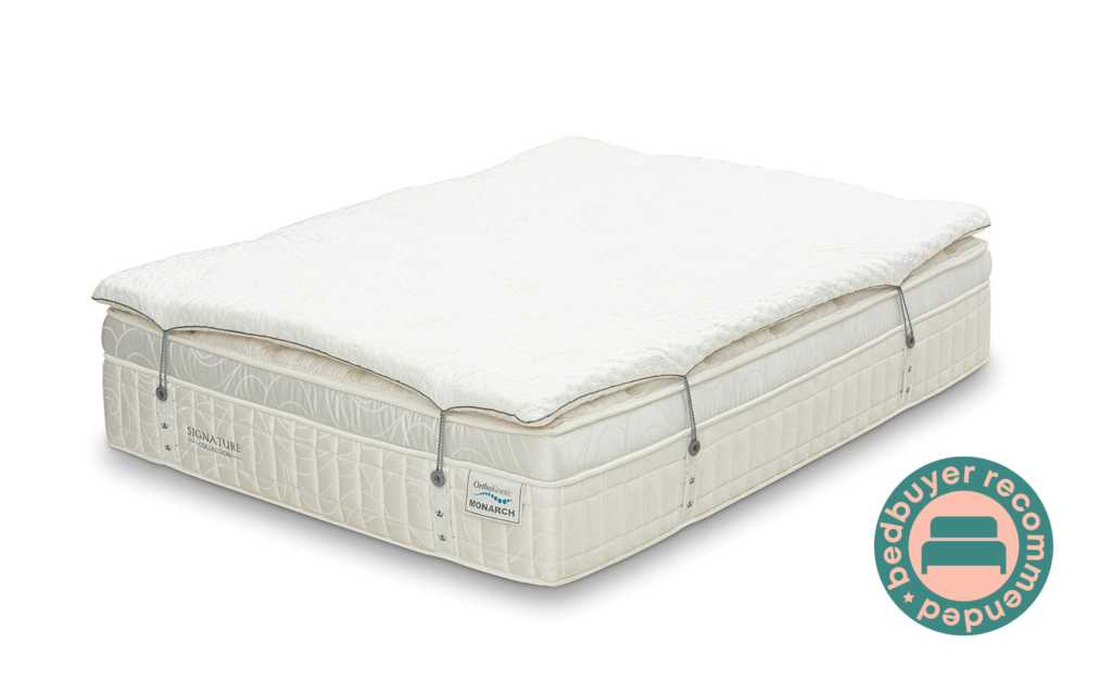 Orthokinetic Signature Monarch Review (in 2024)